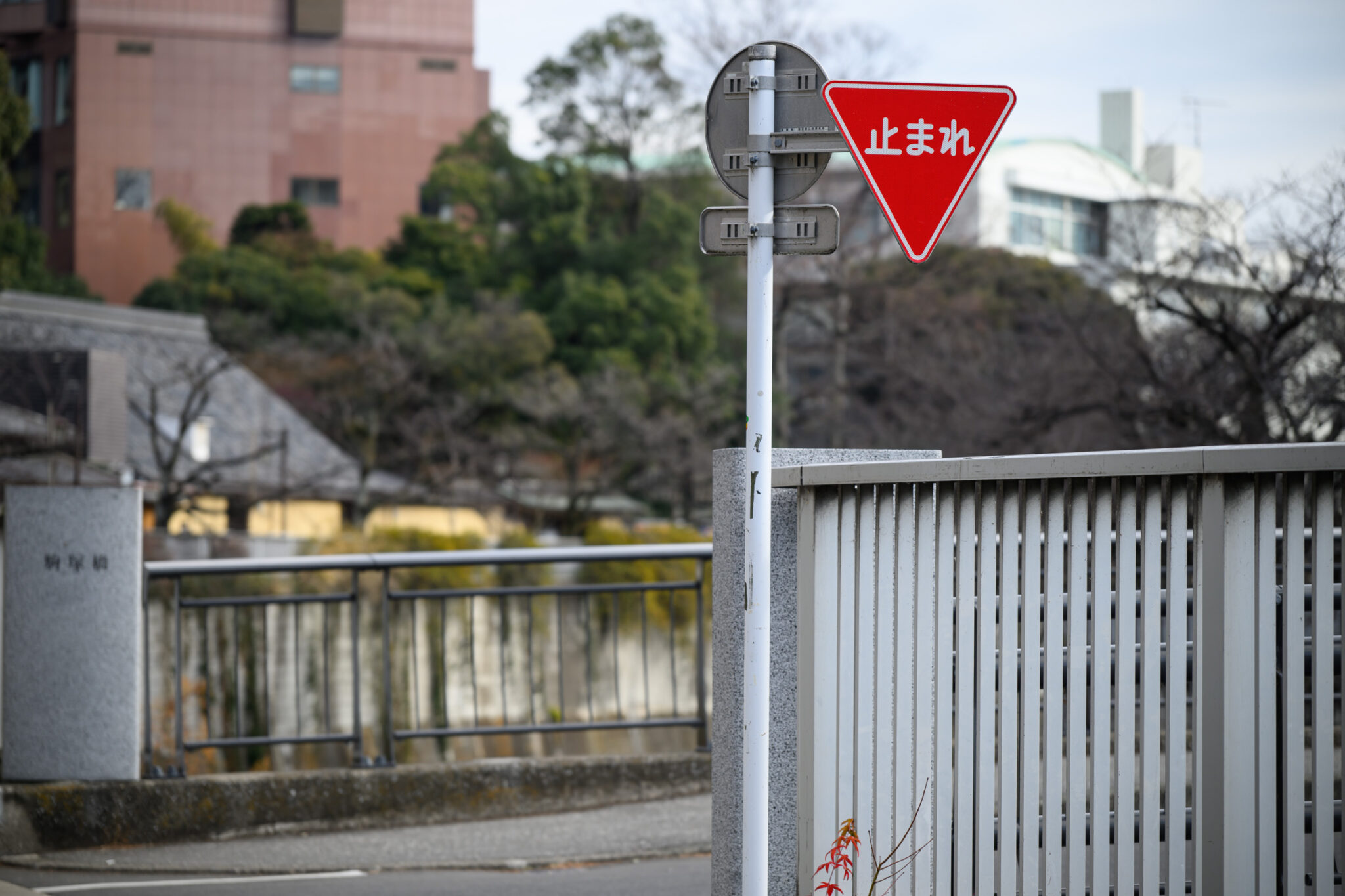 Z8のセンサーシールドからゴミ出ない？ – d44.jp