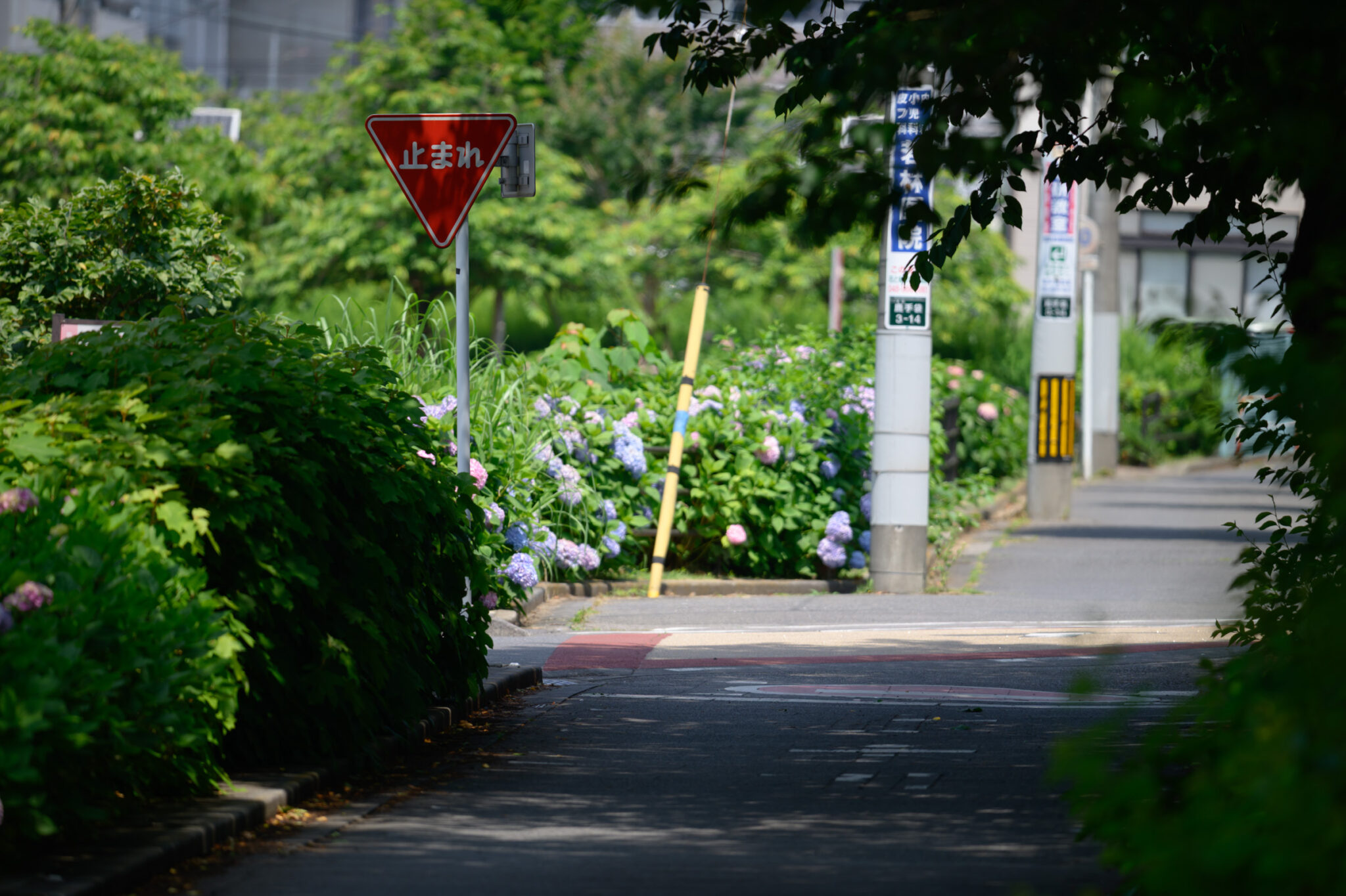 YouTubeで残クレアルファード界隈の曲が流れまくる – d44.jp