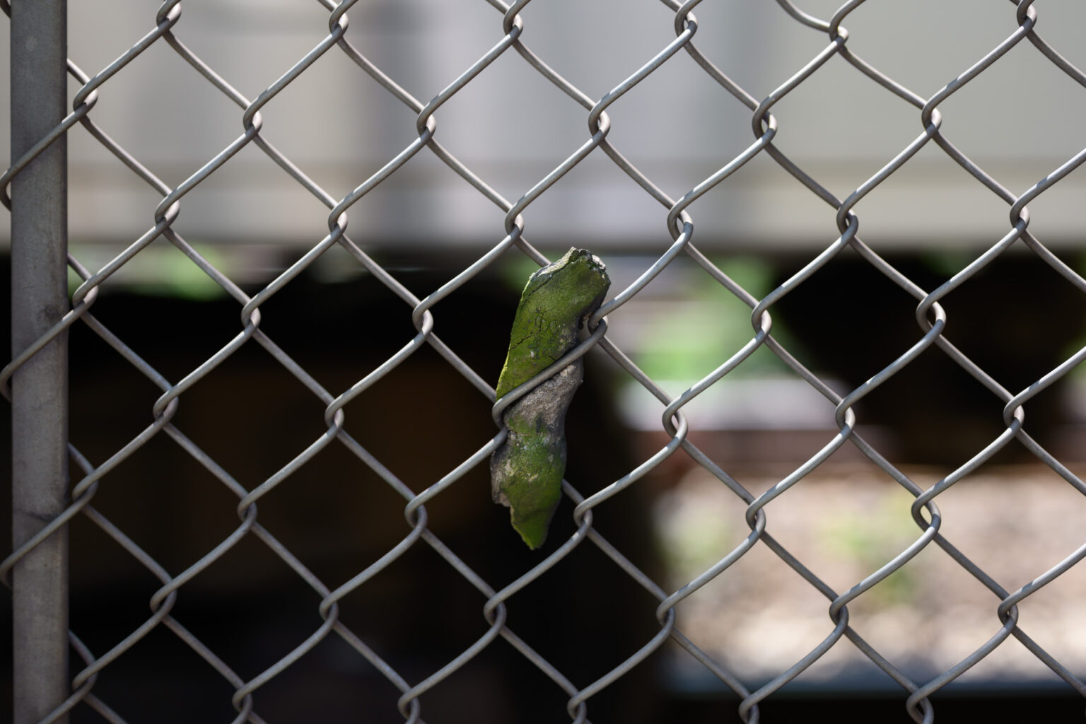 広島風お好み焼き問題 – d44.jp