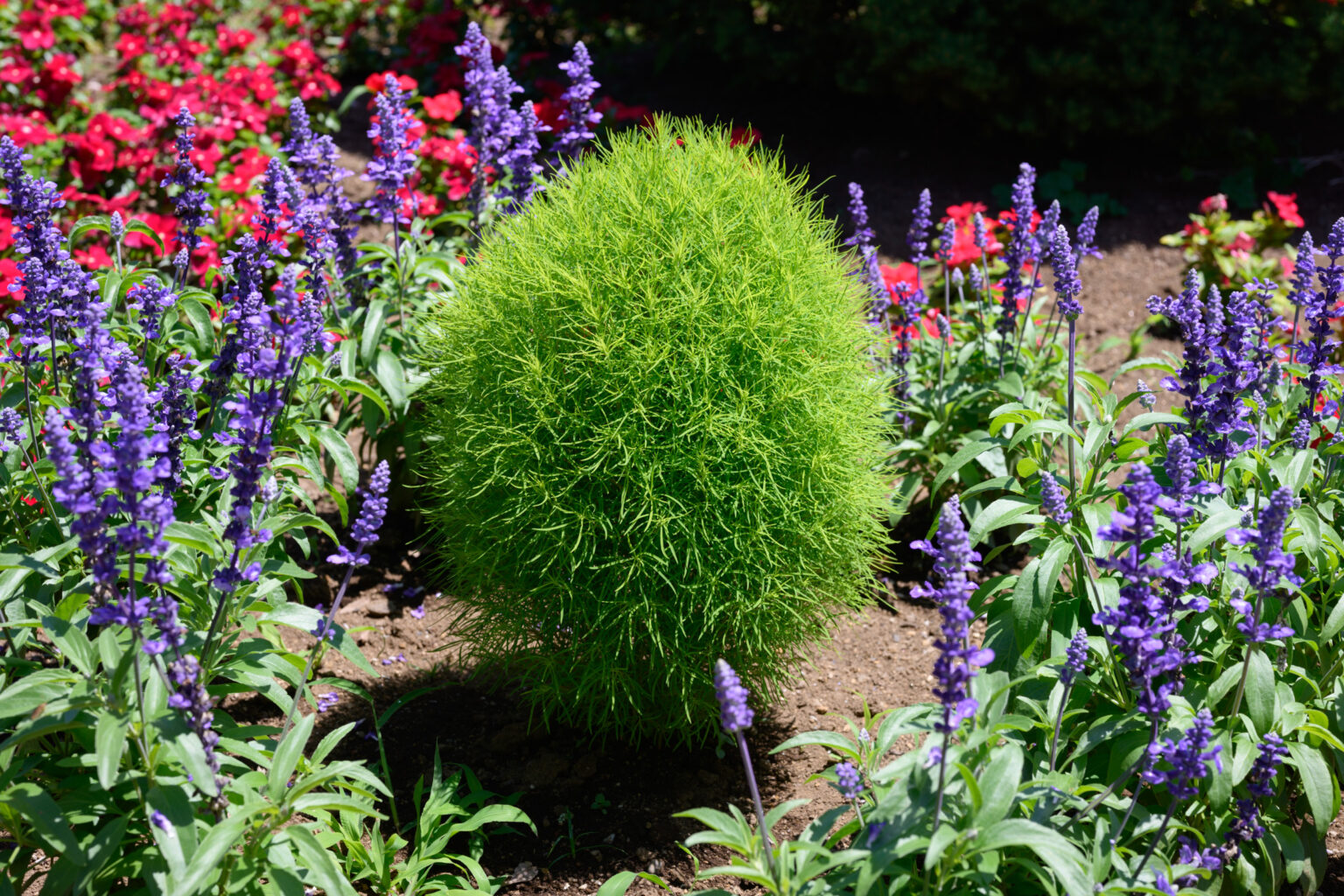 MH-34を買ってはならない – d44.jp