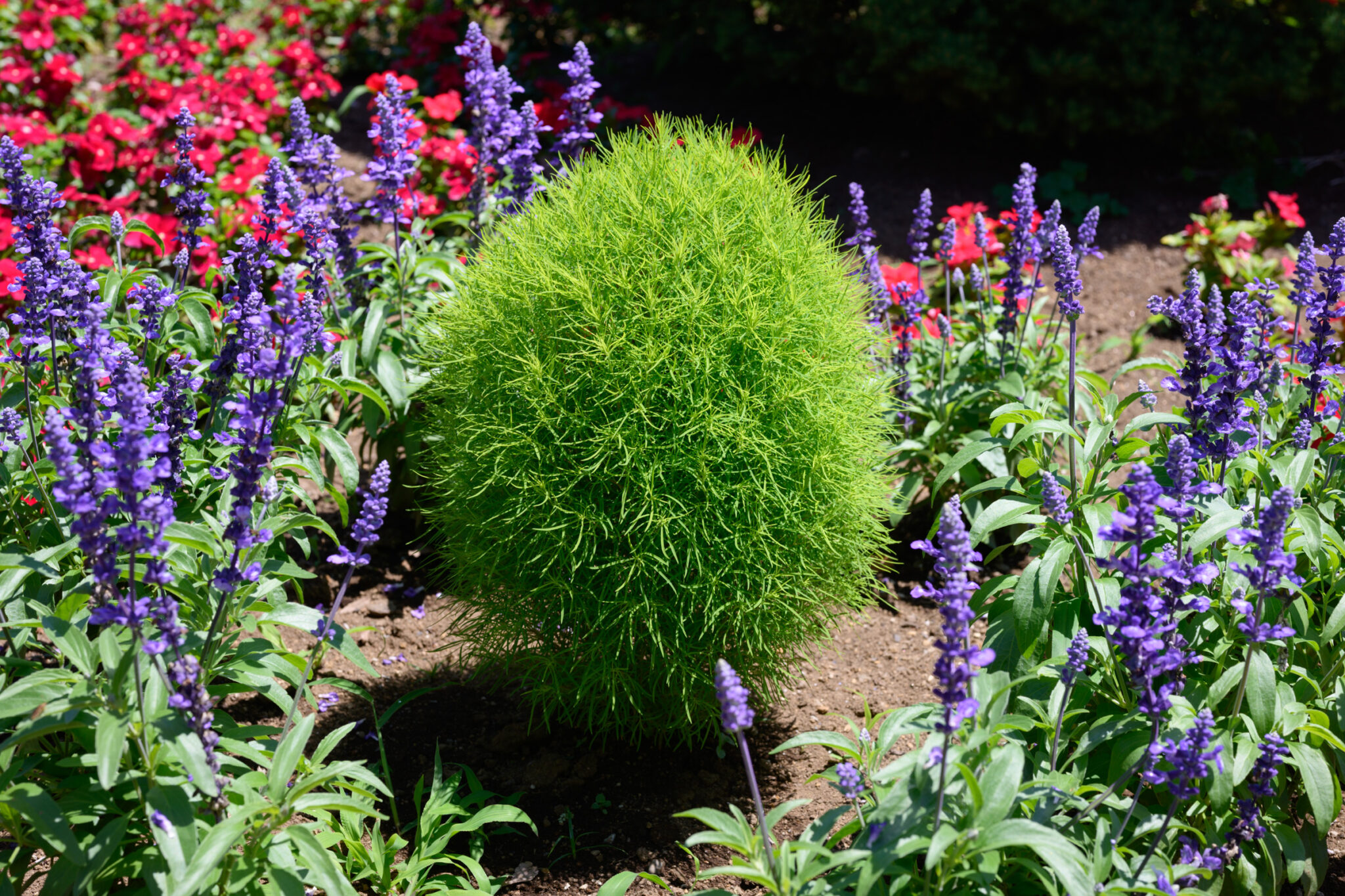 MH-34を買ってはならない – d44.jp