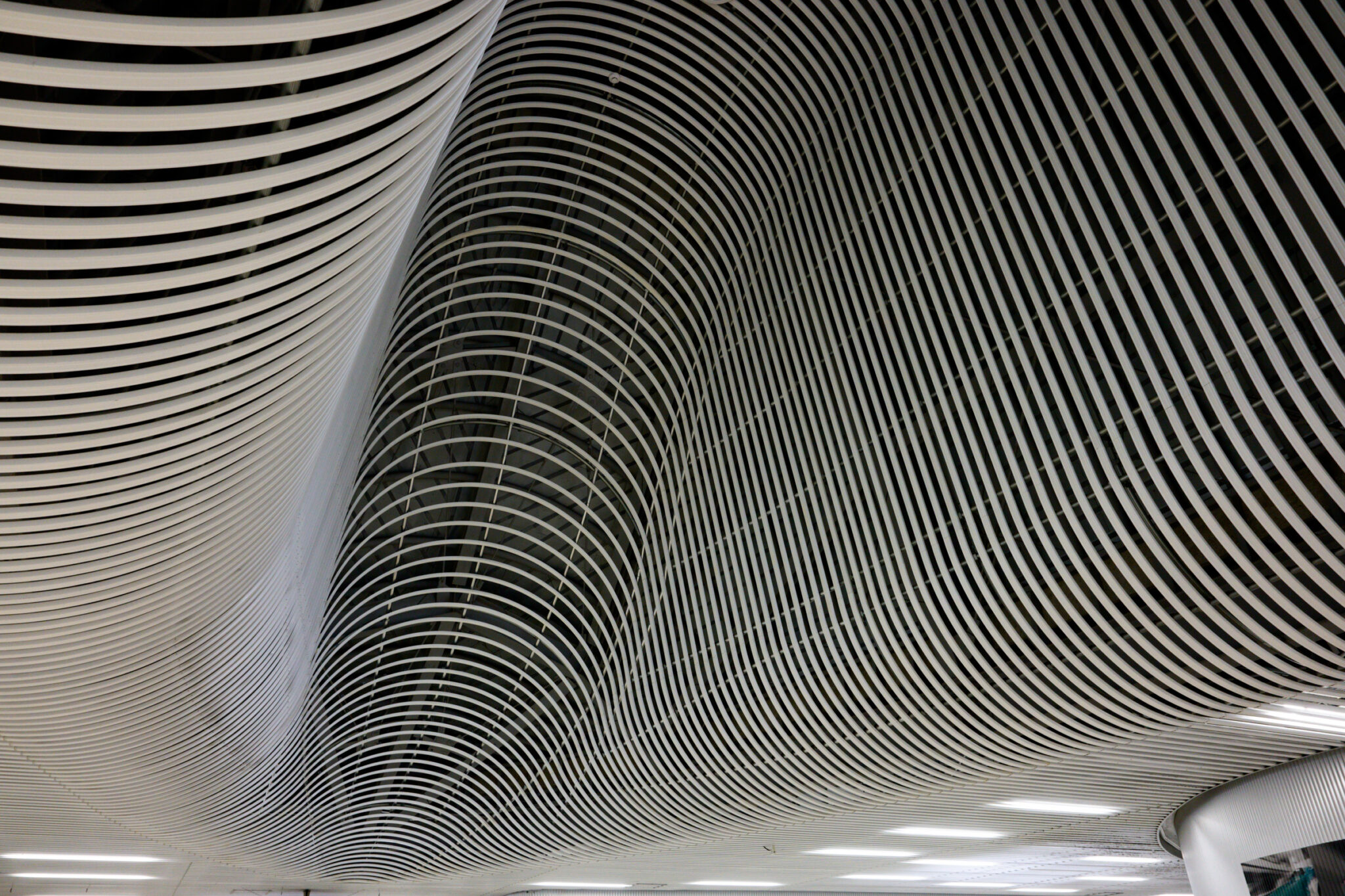 今年の凱旋門賞も残念だった – d44.jp