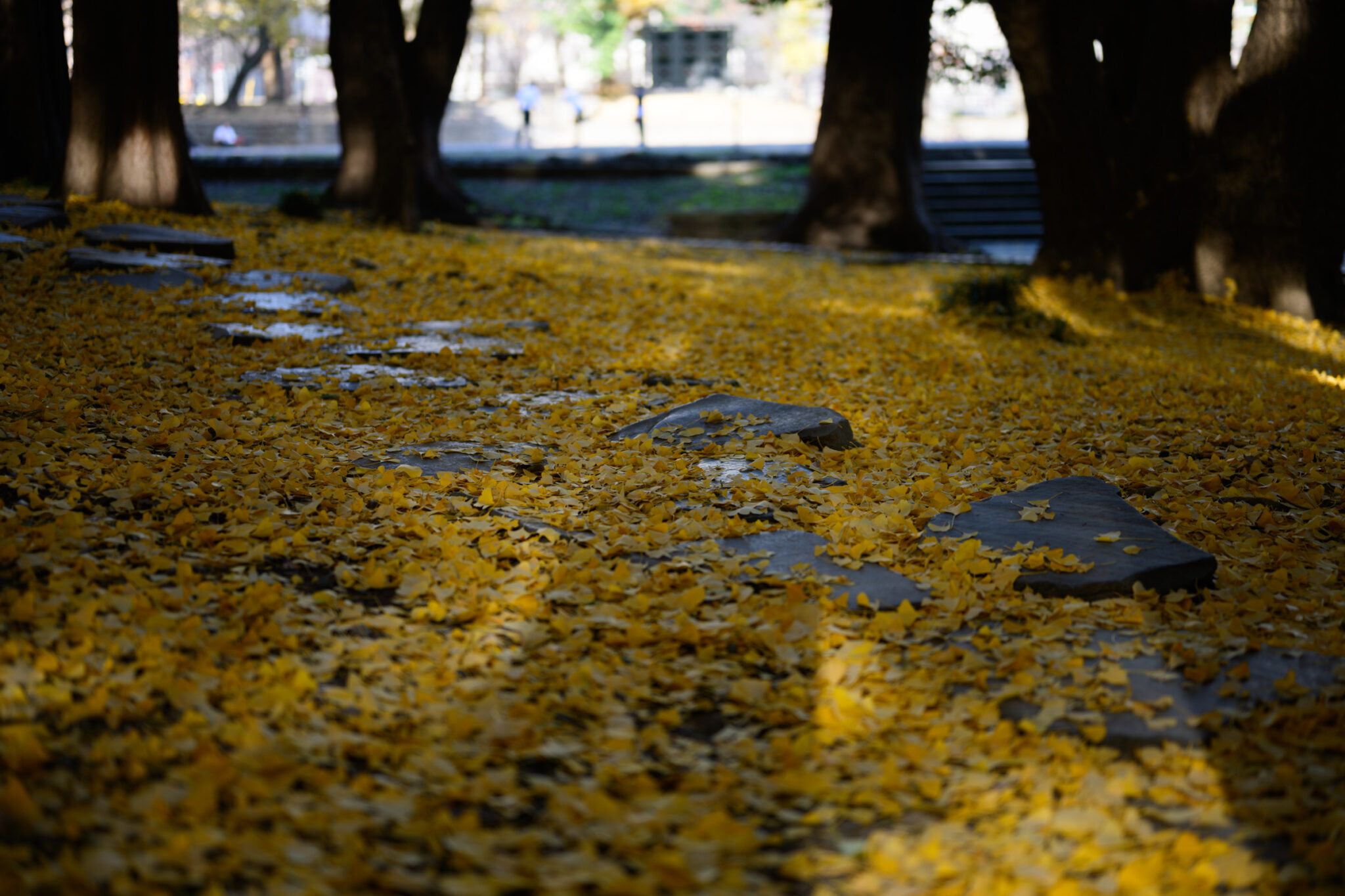 高画素化AIを使いまくってる – d44.jp