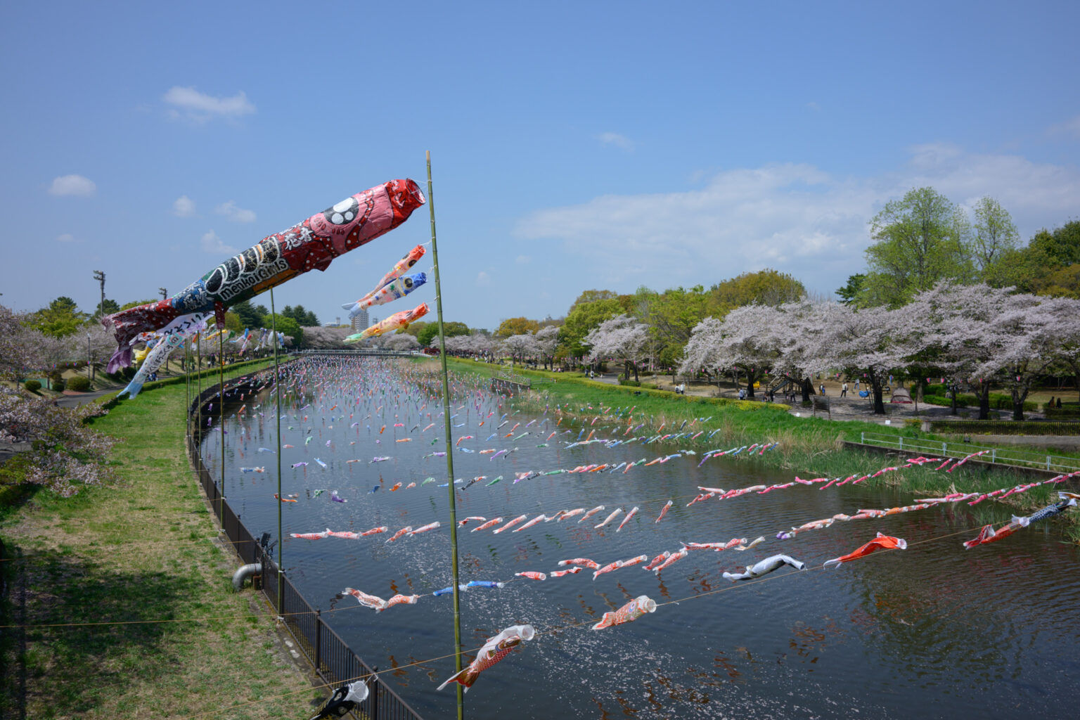 祝一周年 – d44.jp