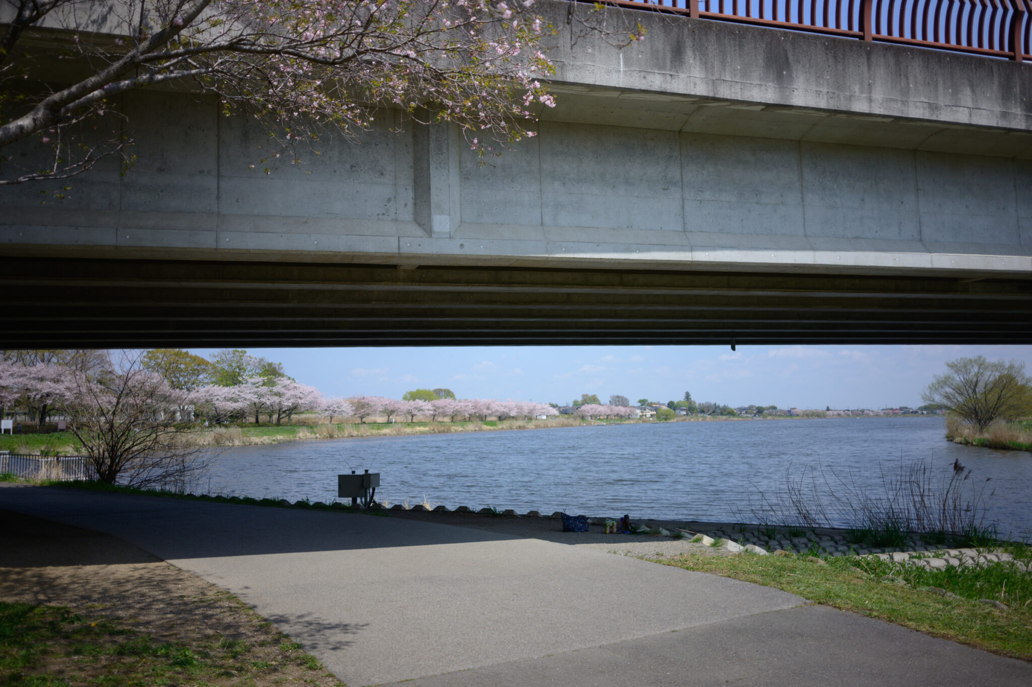 公式ストアのSwitch2抽選外れました – d44.jp